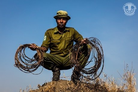 Protect Wildlife: Stop Poaching, Fund A Ranger During The Pandemic