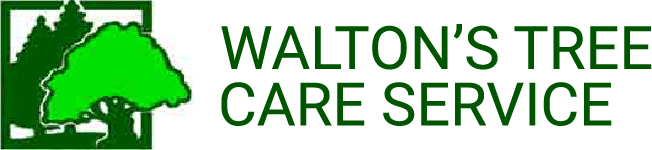 Arborist Available in Wollongong