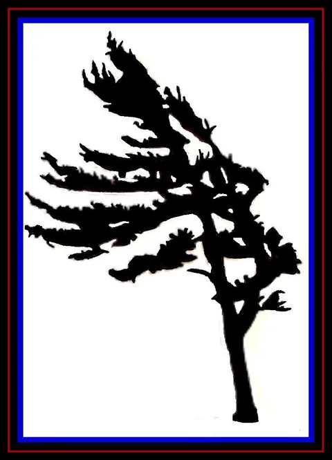 Sitka Tree Collection | Handcrafted Metal Wall Art
