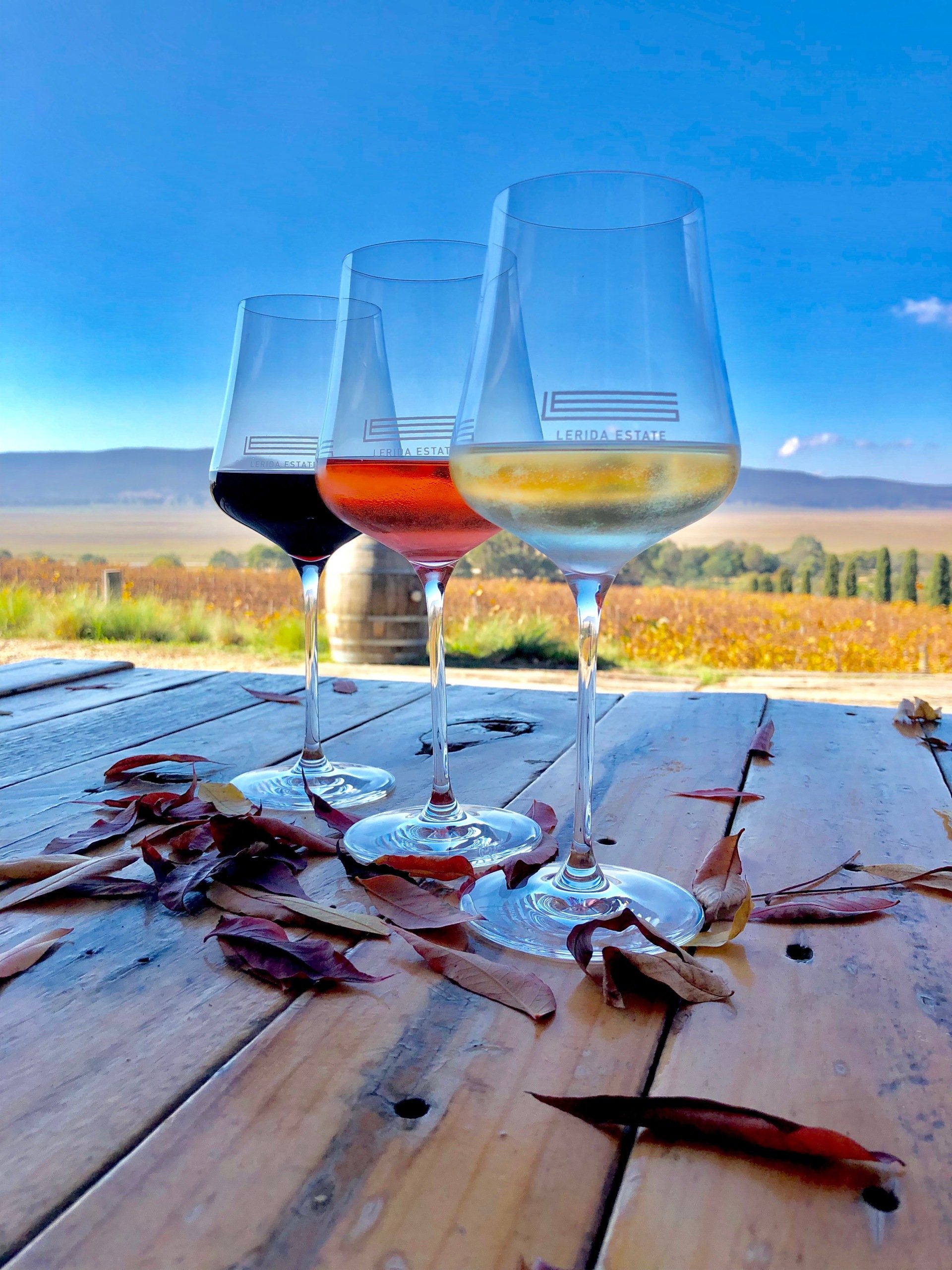 Lerida Estate | Wines | Tastings | Cafe