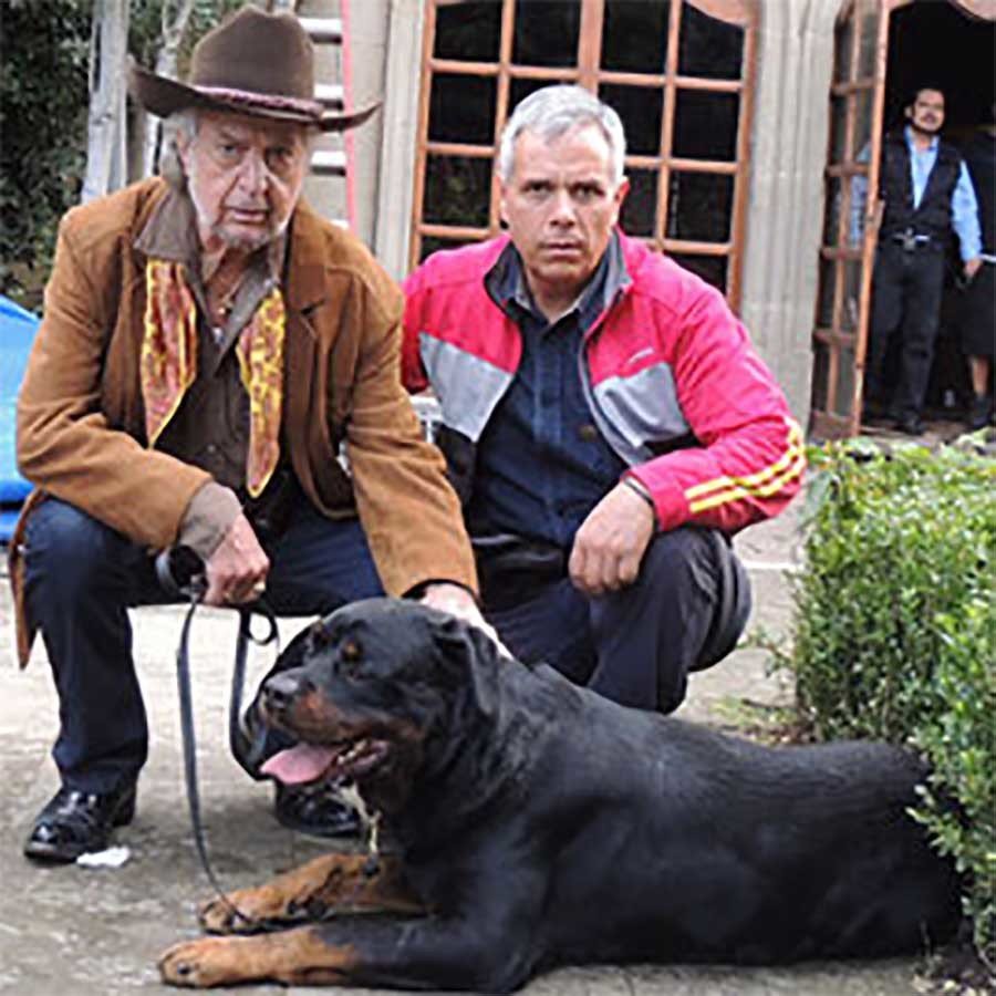 Rottweiler Mexico | Criadero Rottweiler.mx