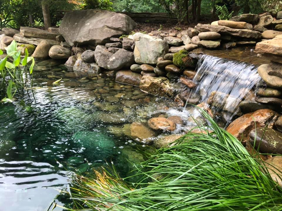 Koi Pond Cleaning | Newnan, GA | Aqua Gardens
