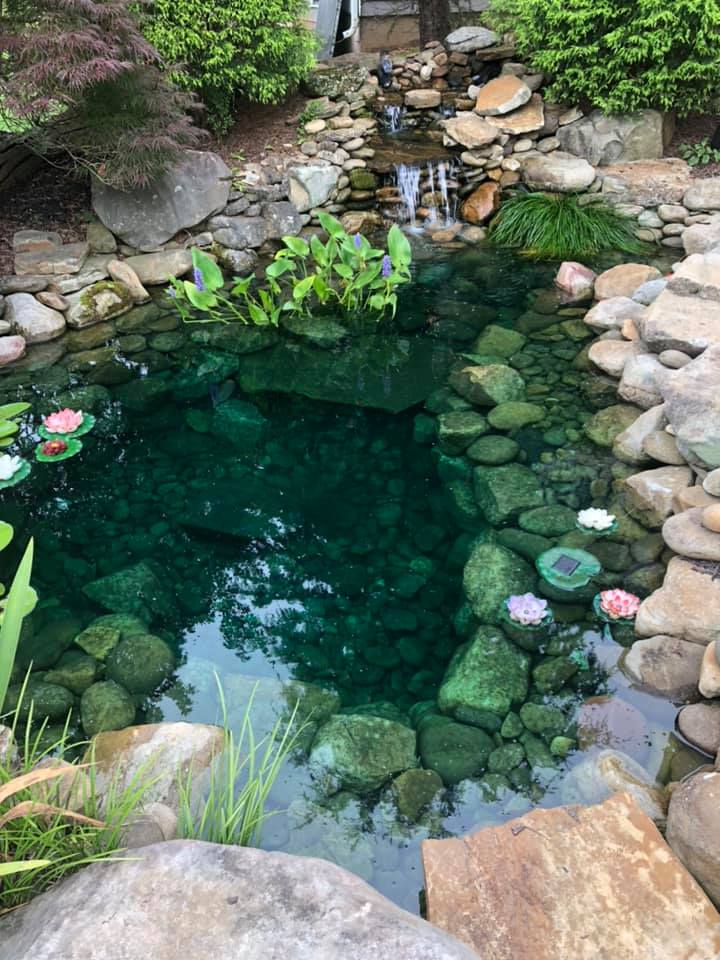 Koi Pond Cleaning | Newnan, GA | Aqua Gardens