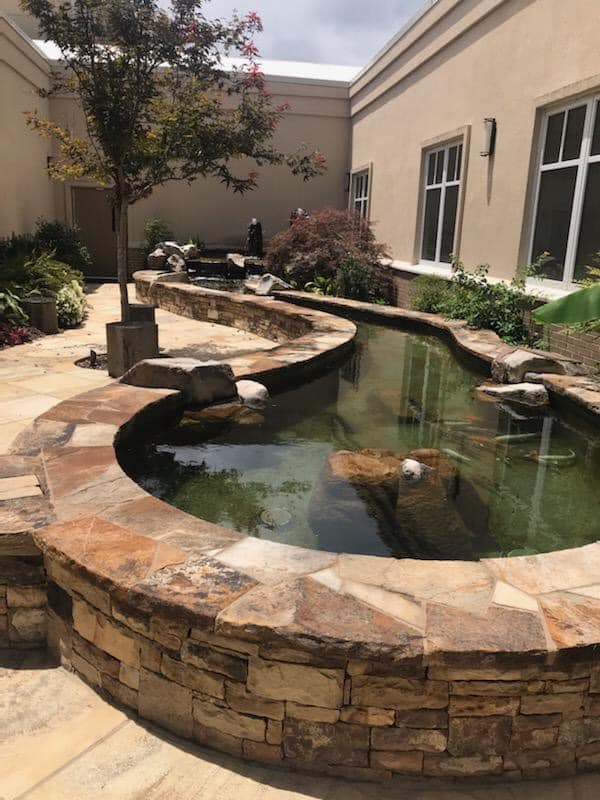 Koi Pond Cleaning | Newnan, GA | Aqua Gardens