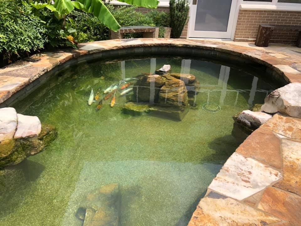 Koi Pond Cleaning | Newnan, GA | Aqua Gardens