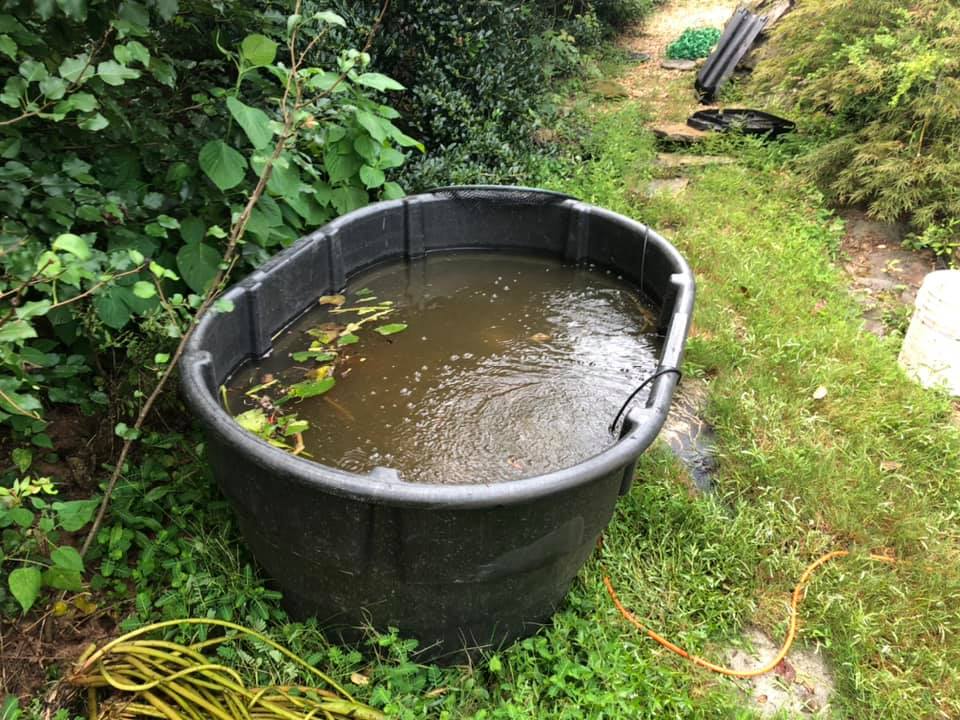 Koi Pond Cleaning | Newnan, GA | Aqua Gardens