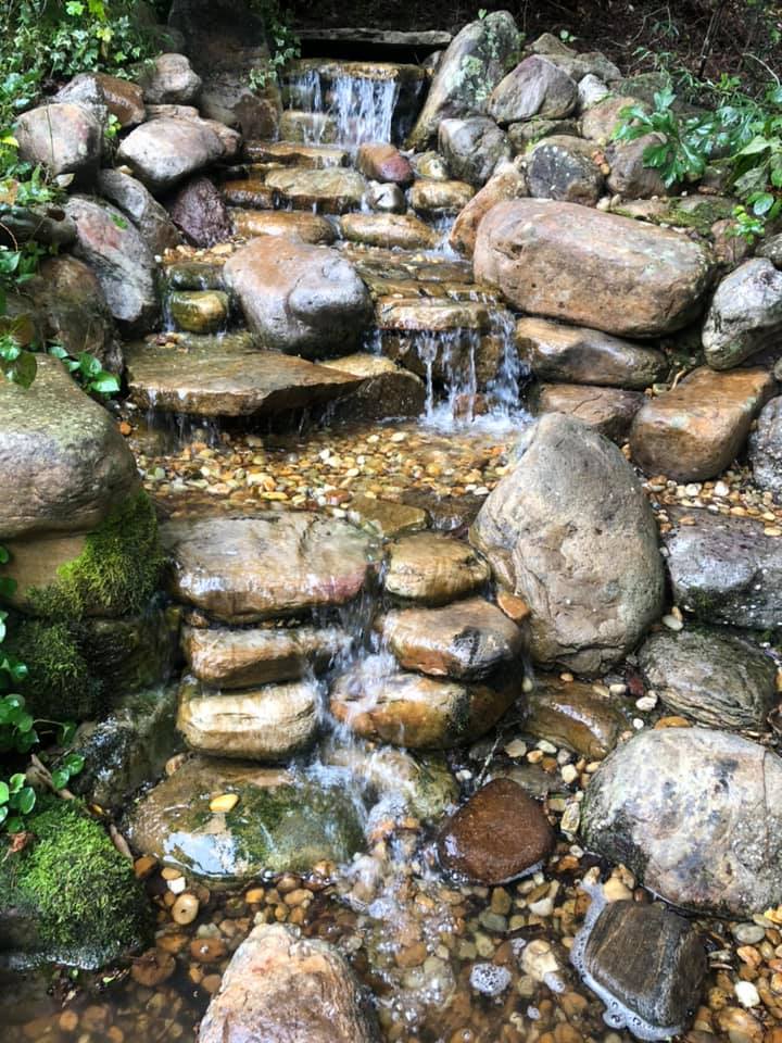 Koi Pond Cleaning | Newnan, GA | Aqua Gardens