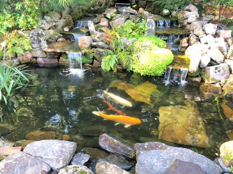 Koi Pond Cleaning | Newnan, GA | Aqua Gardens