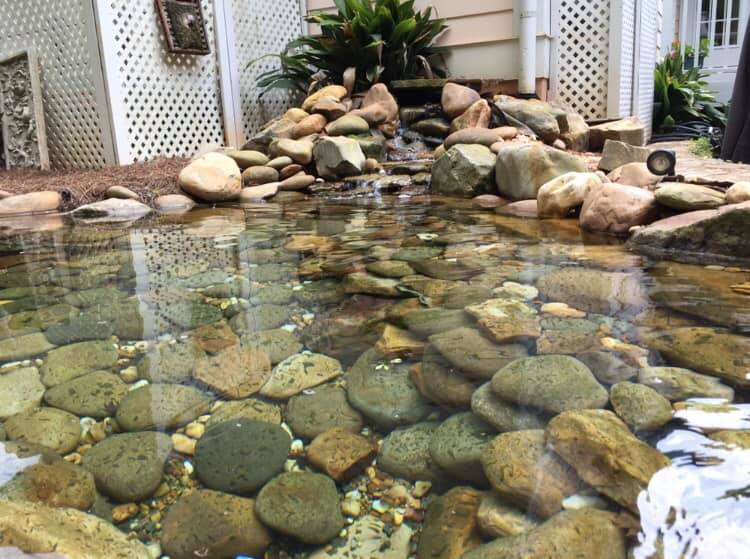 Koi Pond Cleaning | Newnan, GA | Aqua Gardens