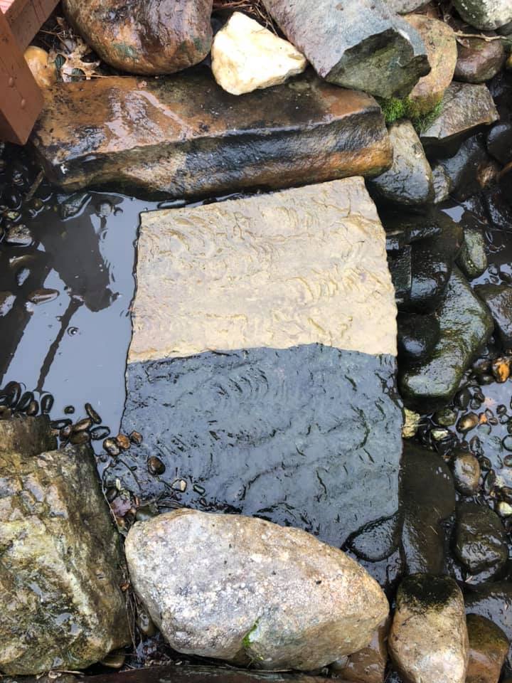 Koi Pond Cleaning | Newnan, GA | Aqua Gardens