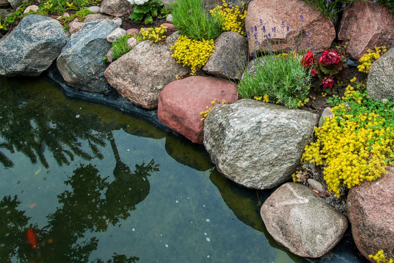 Koi Pond Cleaning | Newnan, GA | Aqua Gardens