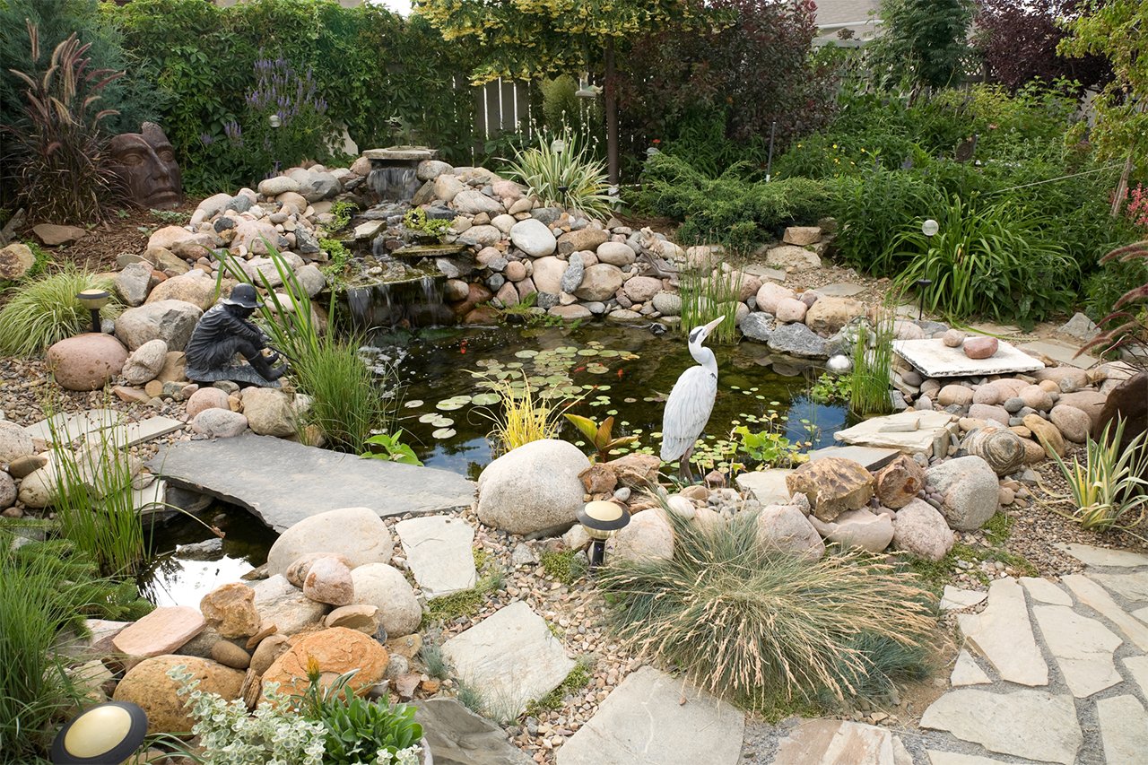 Koi Pond Cleaning | Newnan, GA | Aqua Gardens