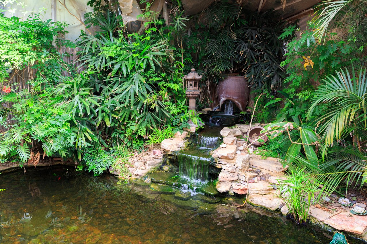 Koi Pond Cleaning | Newnan, GA | Aqua Gardens