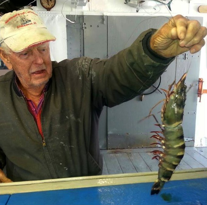 Beacon One Seafood | Fresh Caught Seafood | Supply, NC