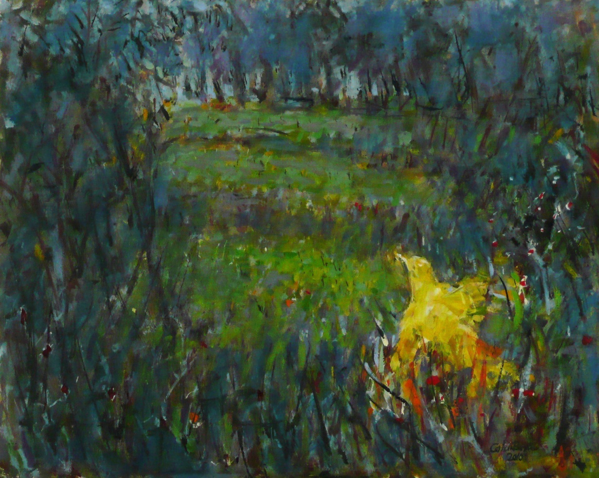 Birds | Colin Baxter | Contemporary Artist | Oil Paintings ...