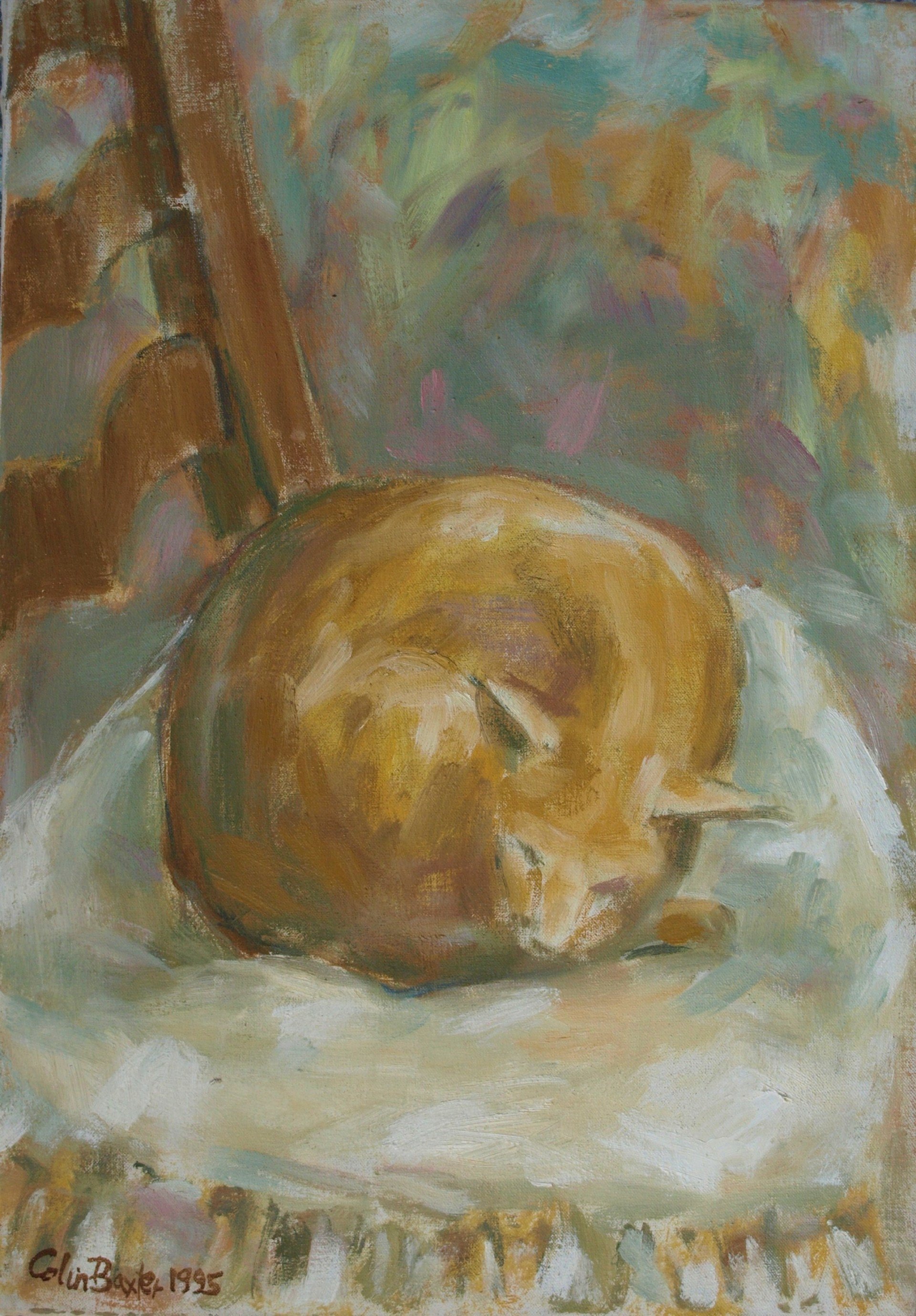 Animals | Colin Baxter | Contemporary Artist | Oil Paintings ...