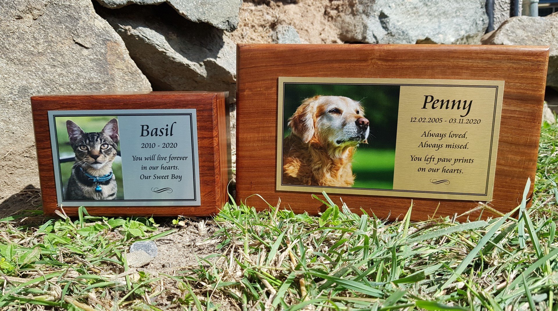 Ashes Boxes | Townsville | Pet Heaven NQ
