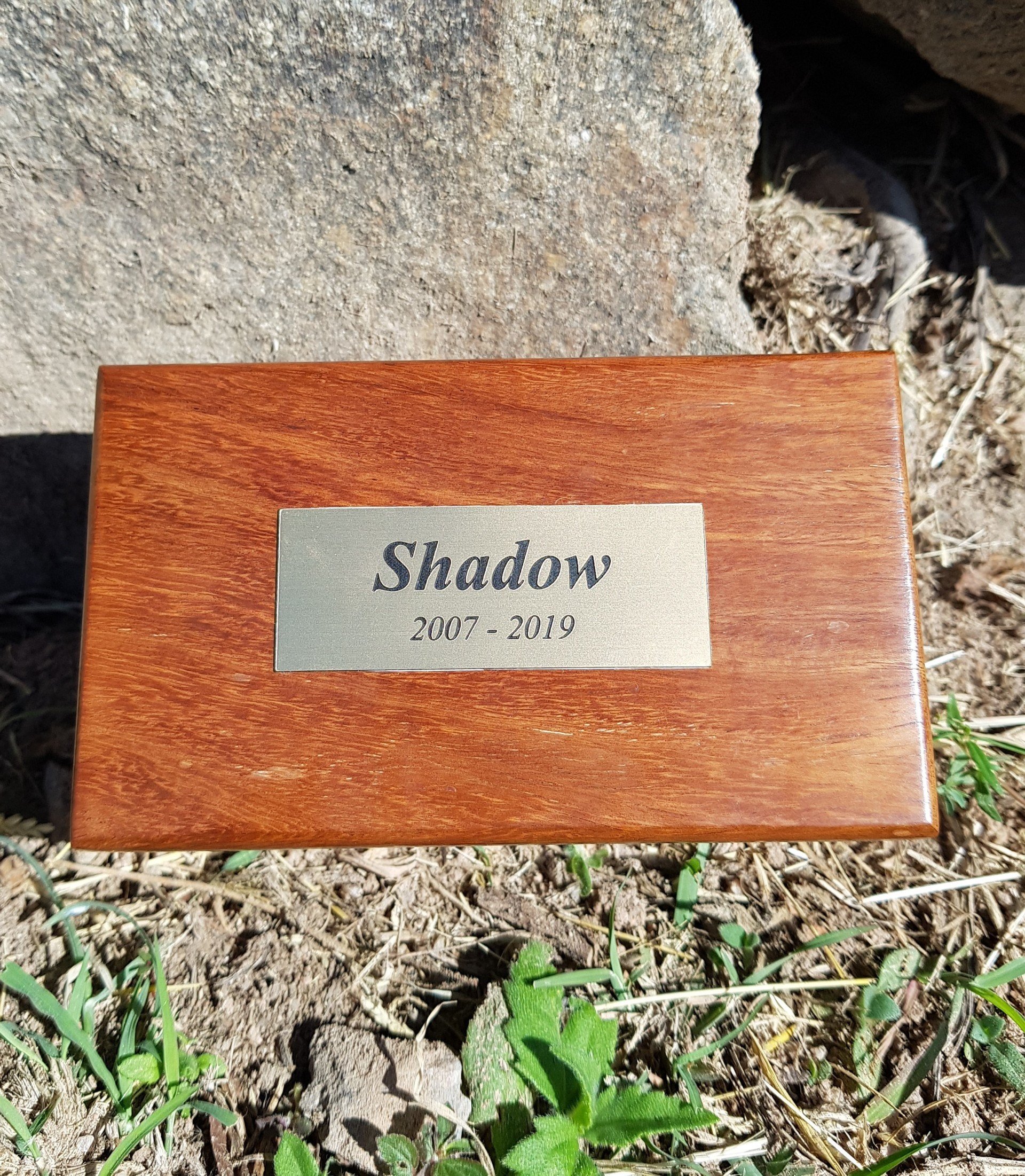 Ashes Boxes | Townsville | Pet Heaven NQ