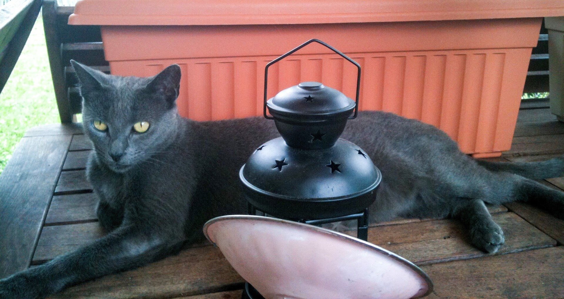 Memorial Wall A-K 9 | Pet Heaven NQ