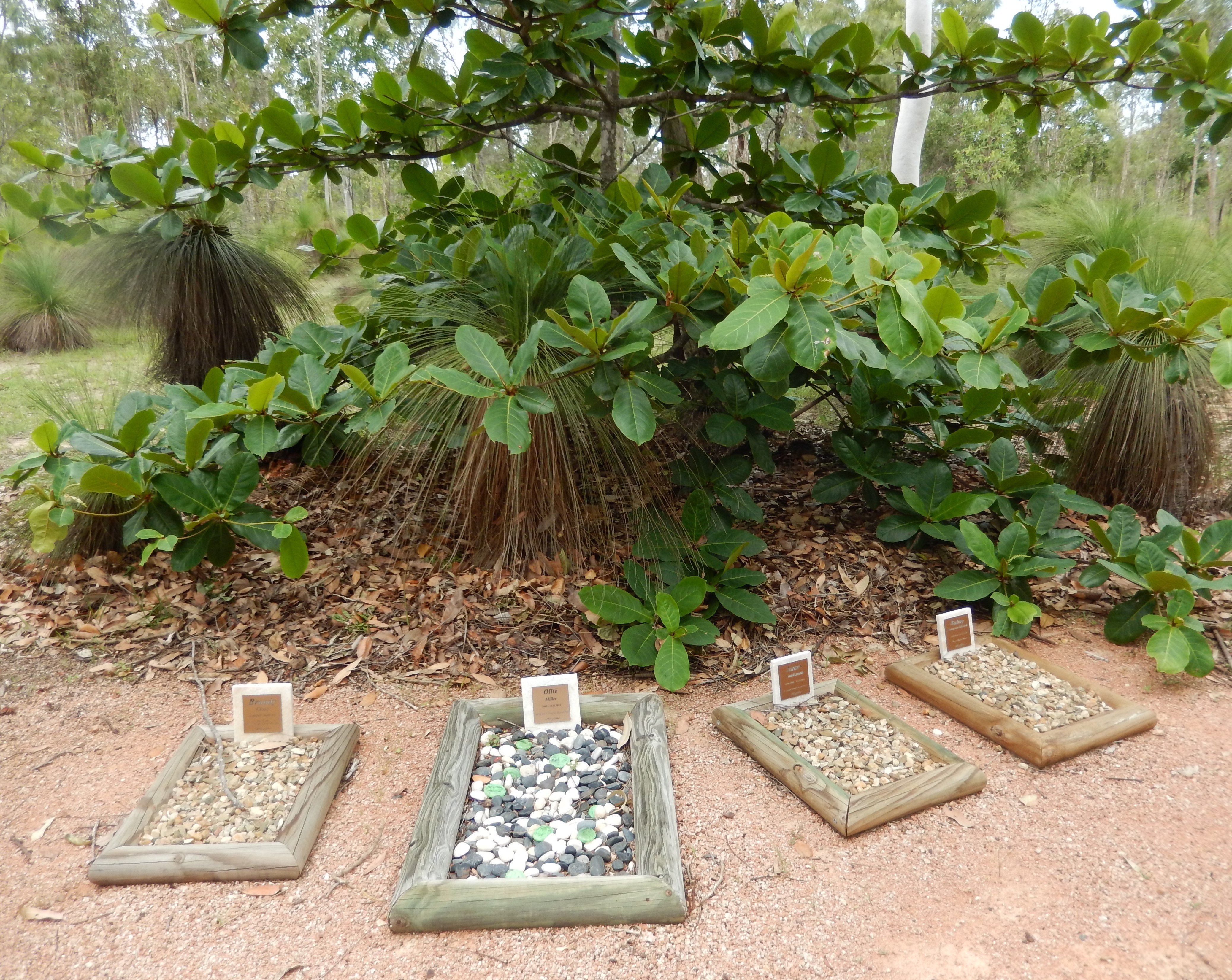 Pet Burial | Townsville | Pet Heaven NQ