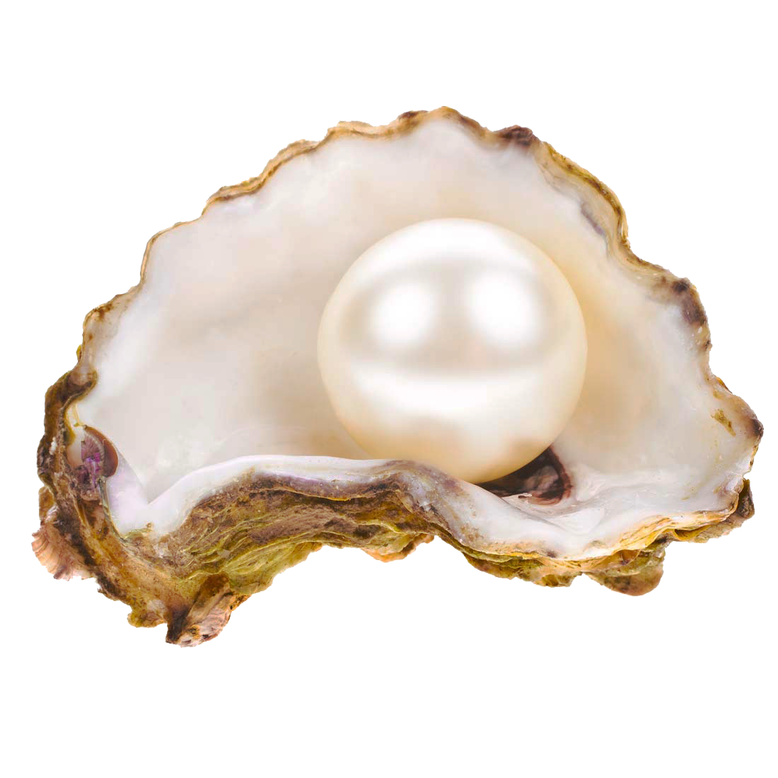 La Perla d'Arte | Restaurant en kunstgalerij in Zutendaal