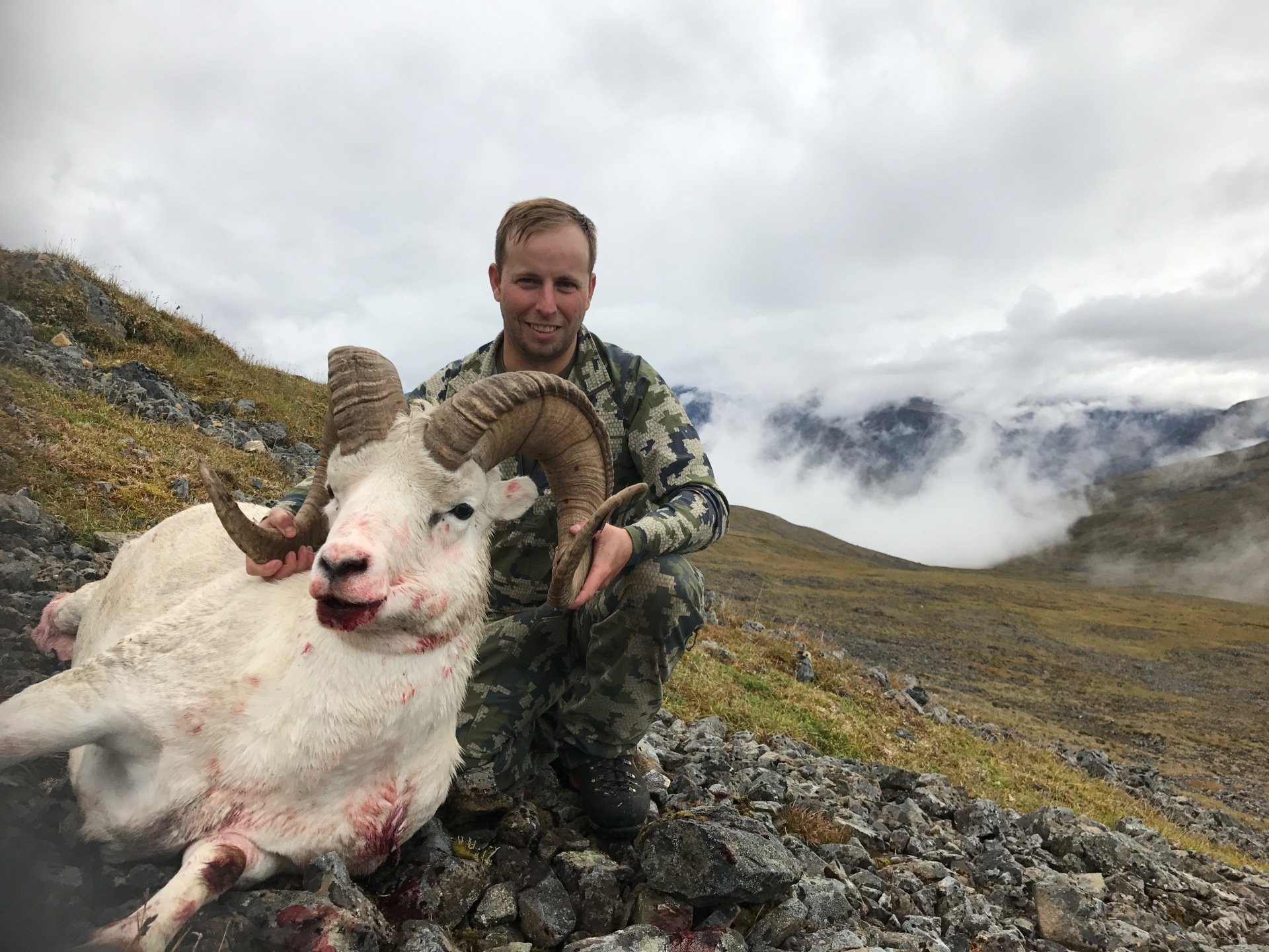 Dall Sheep Hunting Sheep Hunting, Alaska