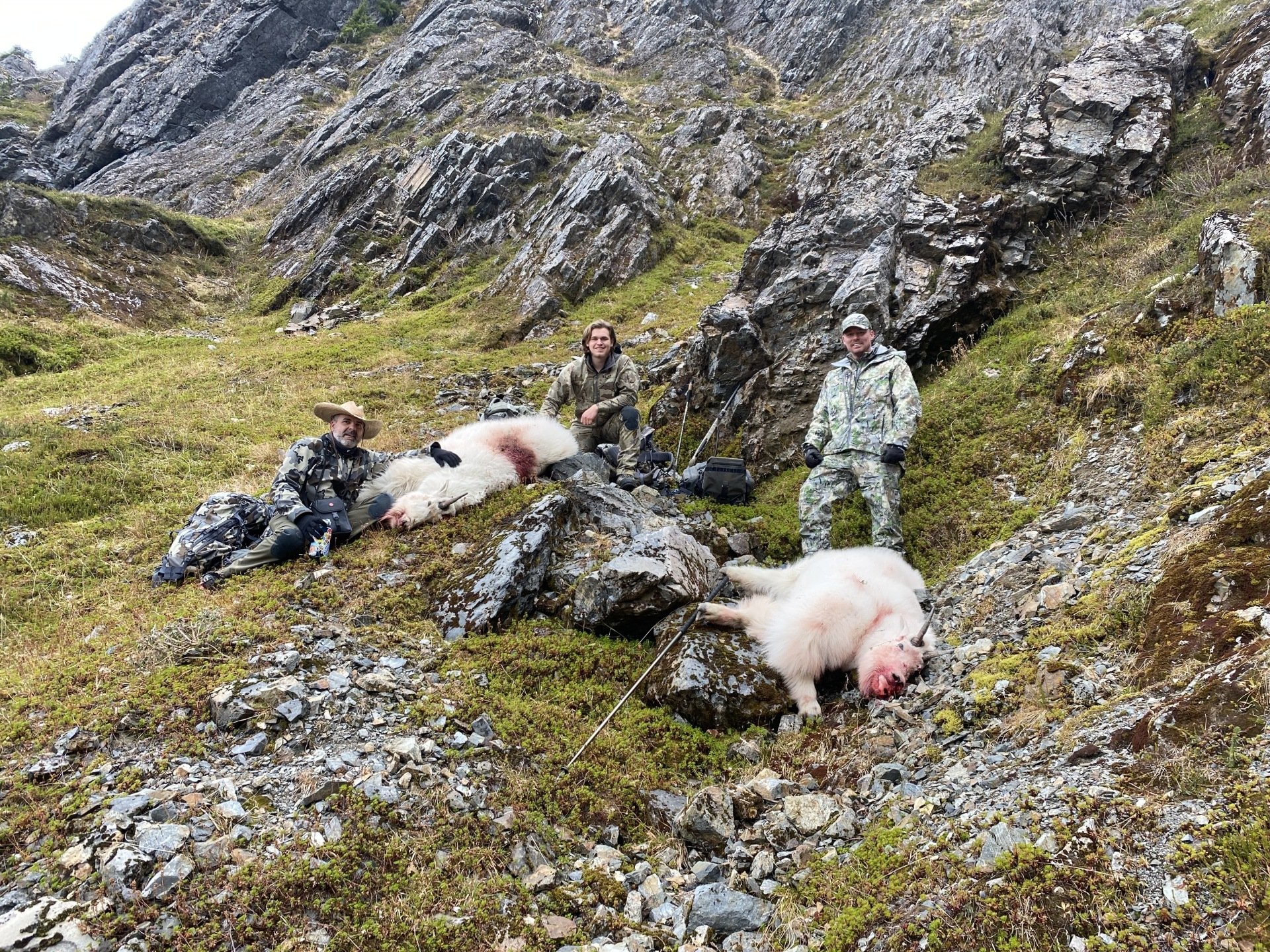 Alaska Mountain Goat Hunt | Sheep River Camps | AK