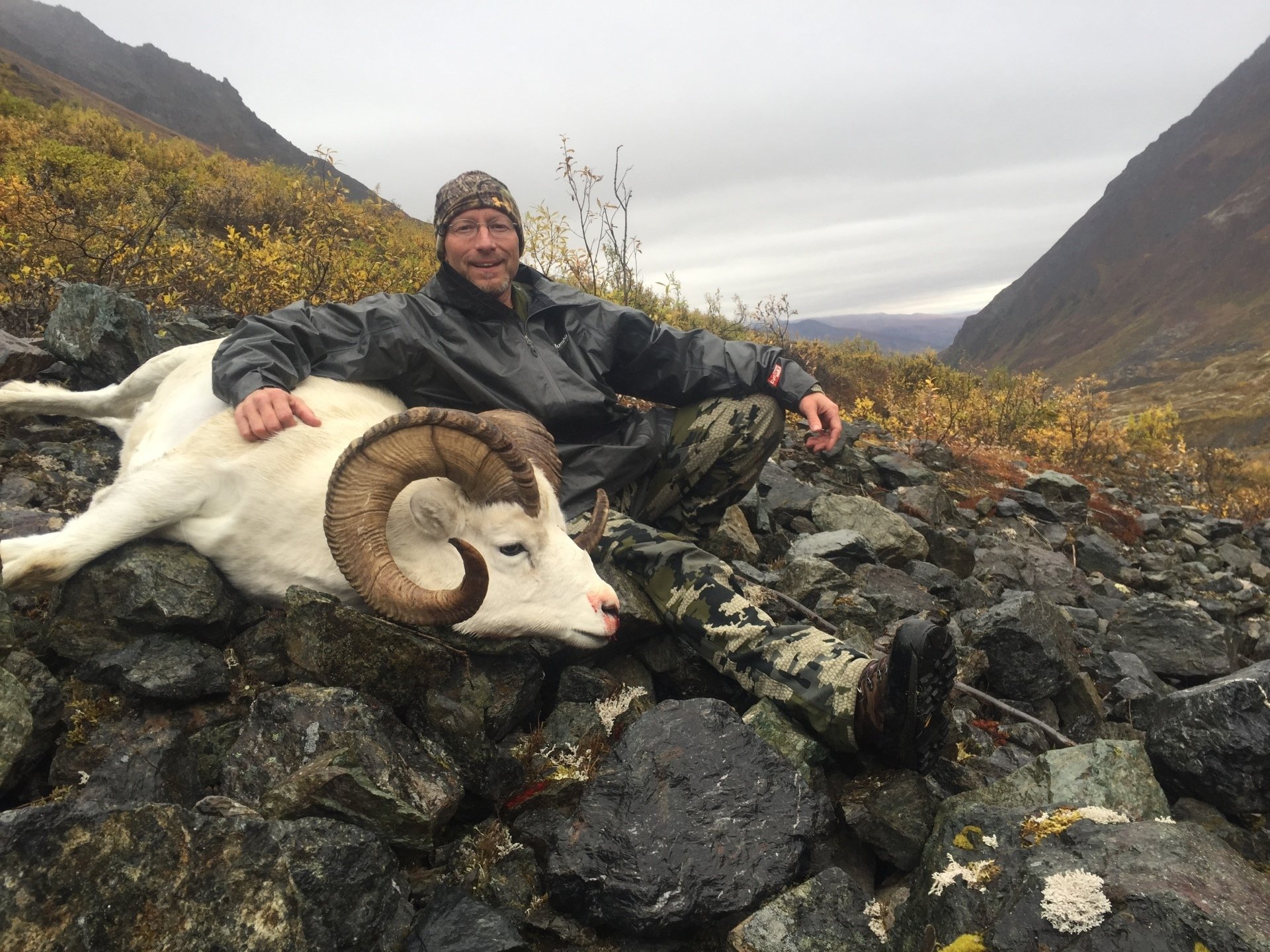 Dall Sheep Hunting Sheep Hunting, Alaska