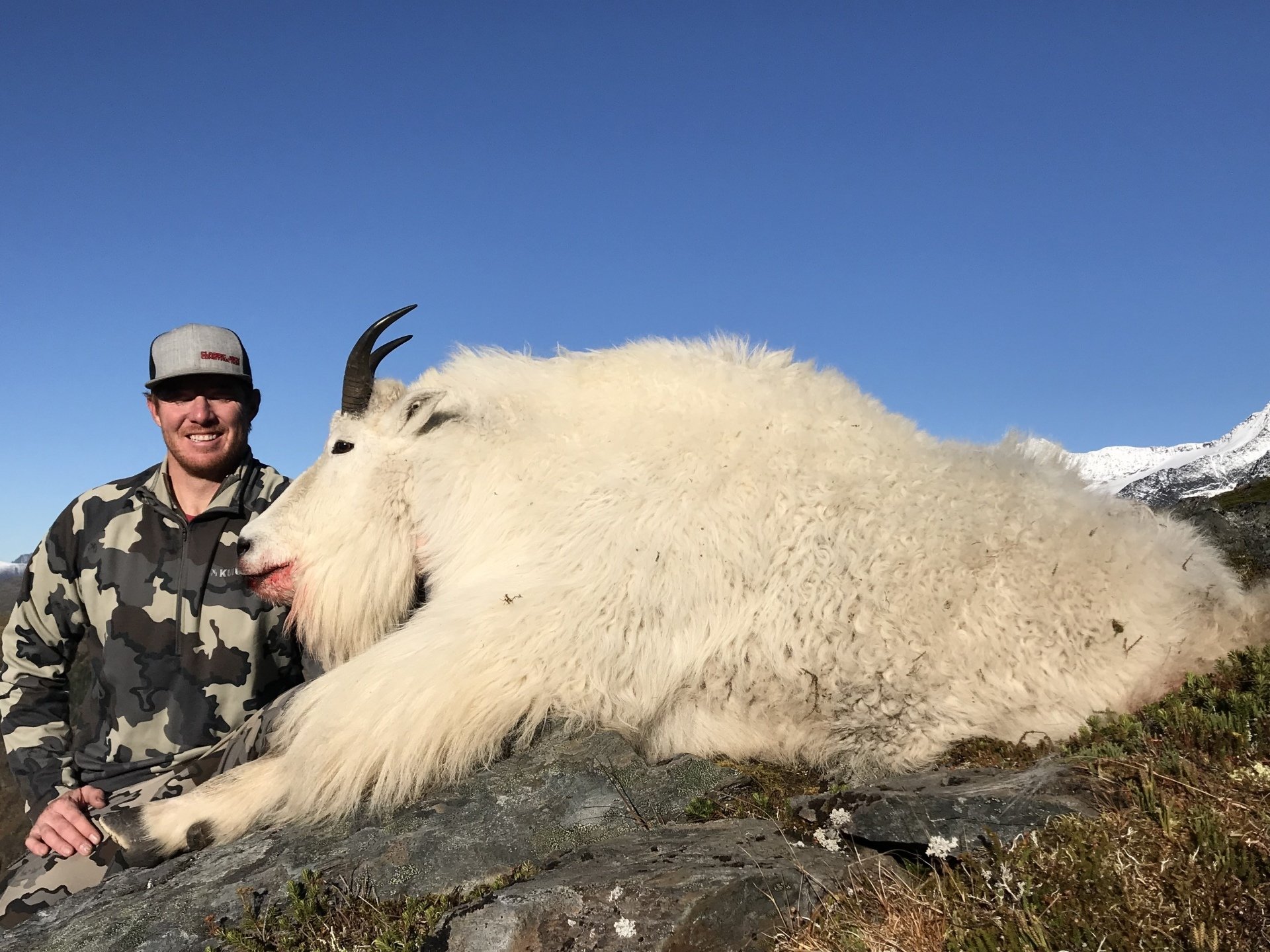 Alaska Mountain Goat Hunt | Sheep River Camps | AK
