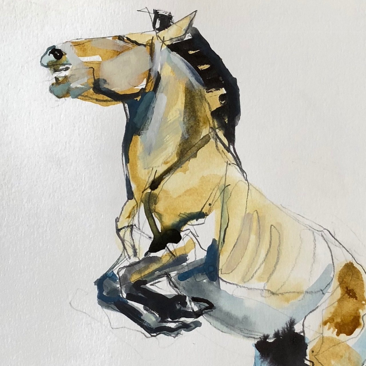 Mark Adlington Przewalski's