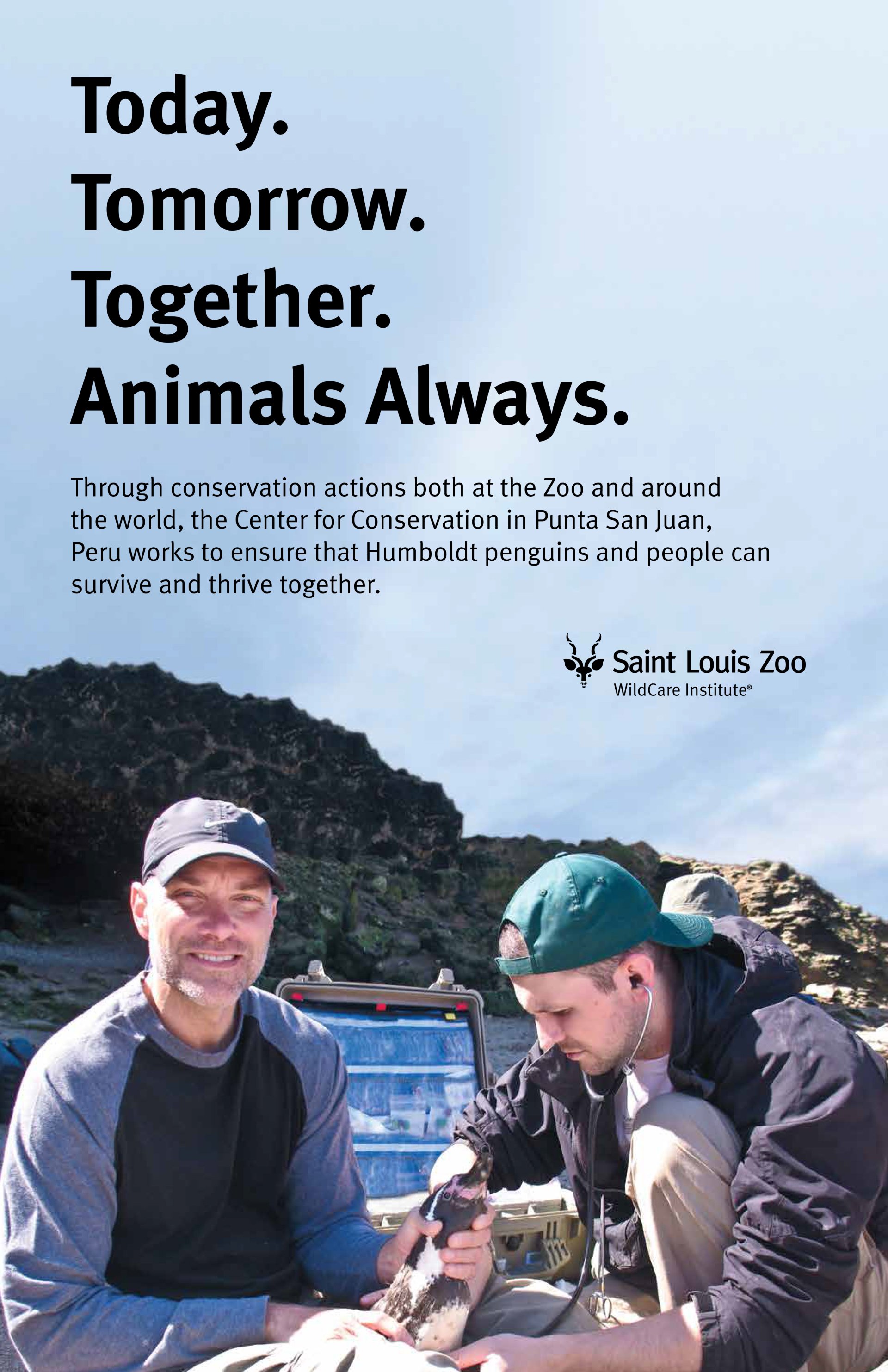 Animal Care - Saint Louis Zoo Advertising Campaign