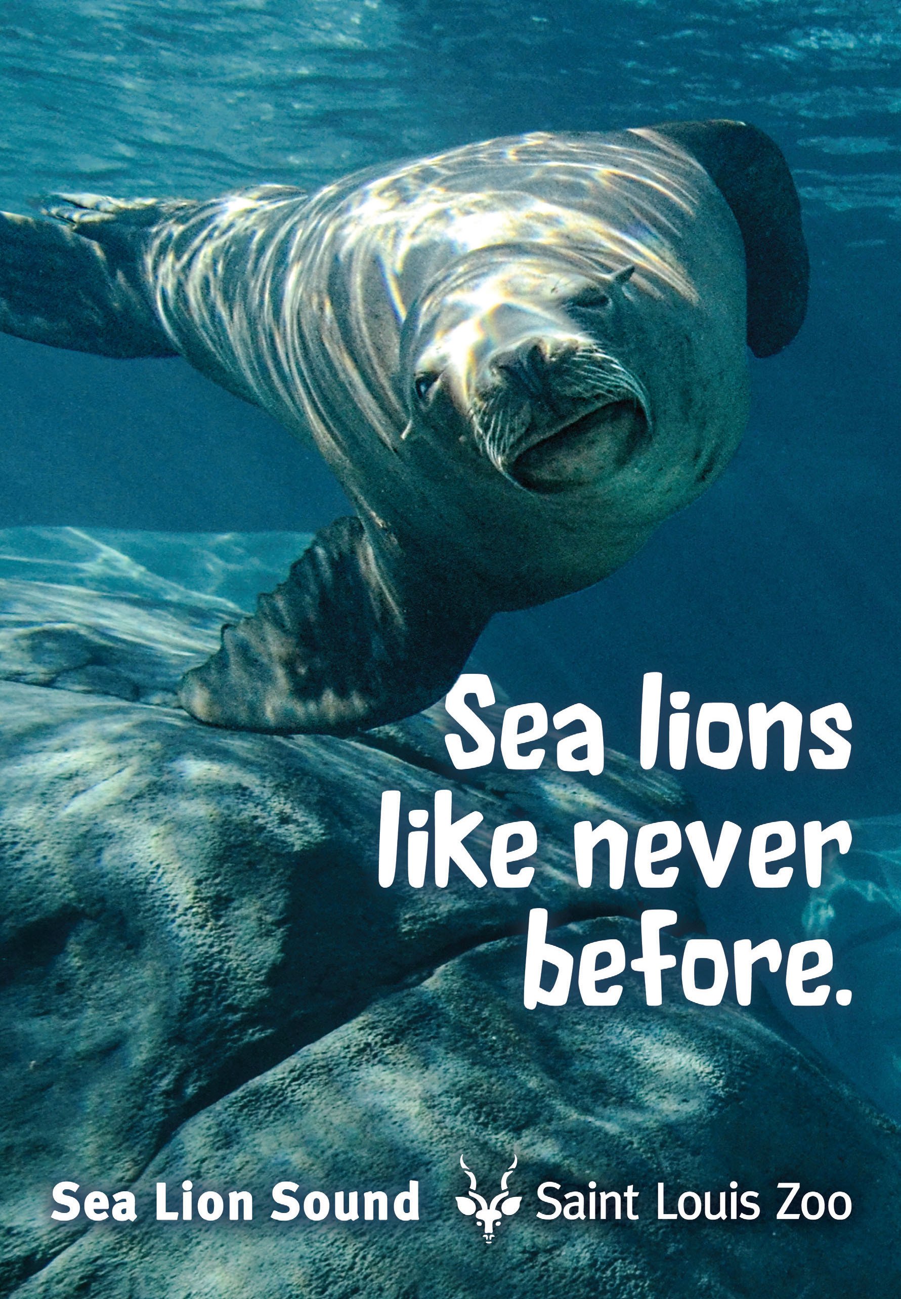 Sea Lion Sound - Saint Louis Zoo Advertising Campaign