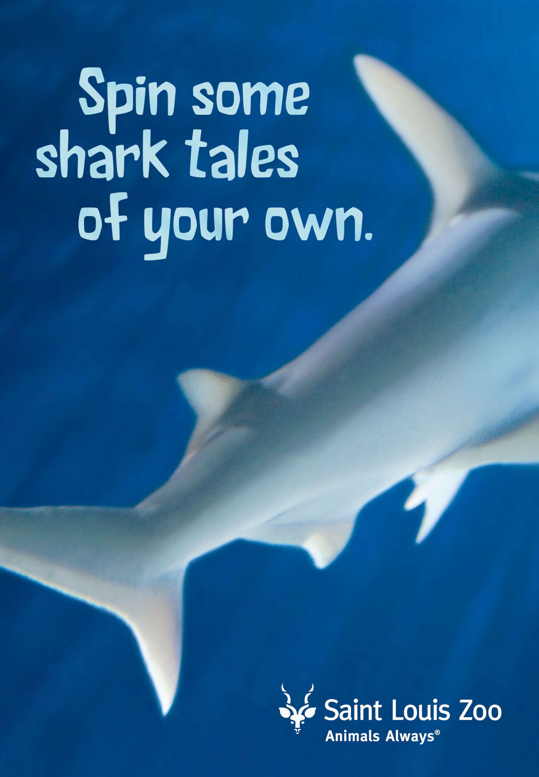 Sharks - Saint Louis Zoo Advertising Campaign