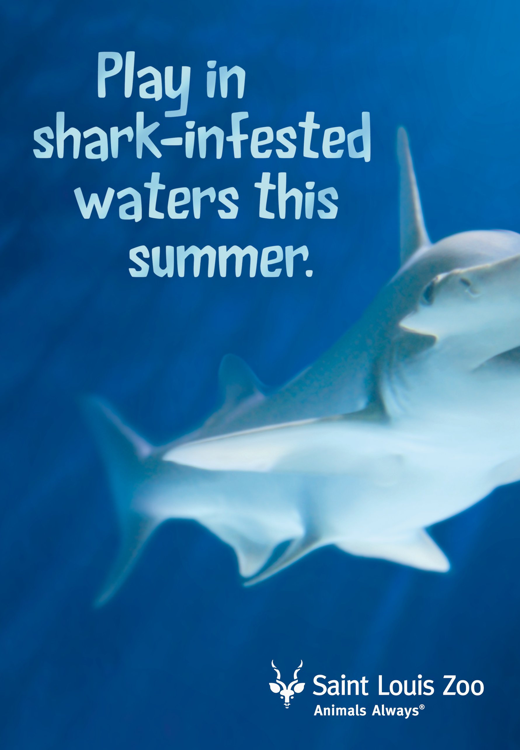 Sharks - Saint Louis Zoo Advertising Campaign