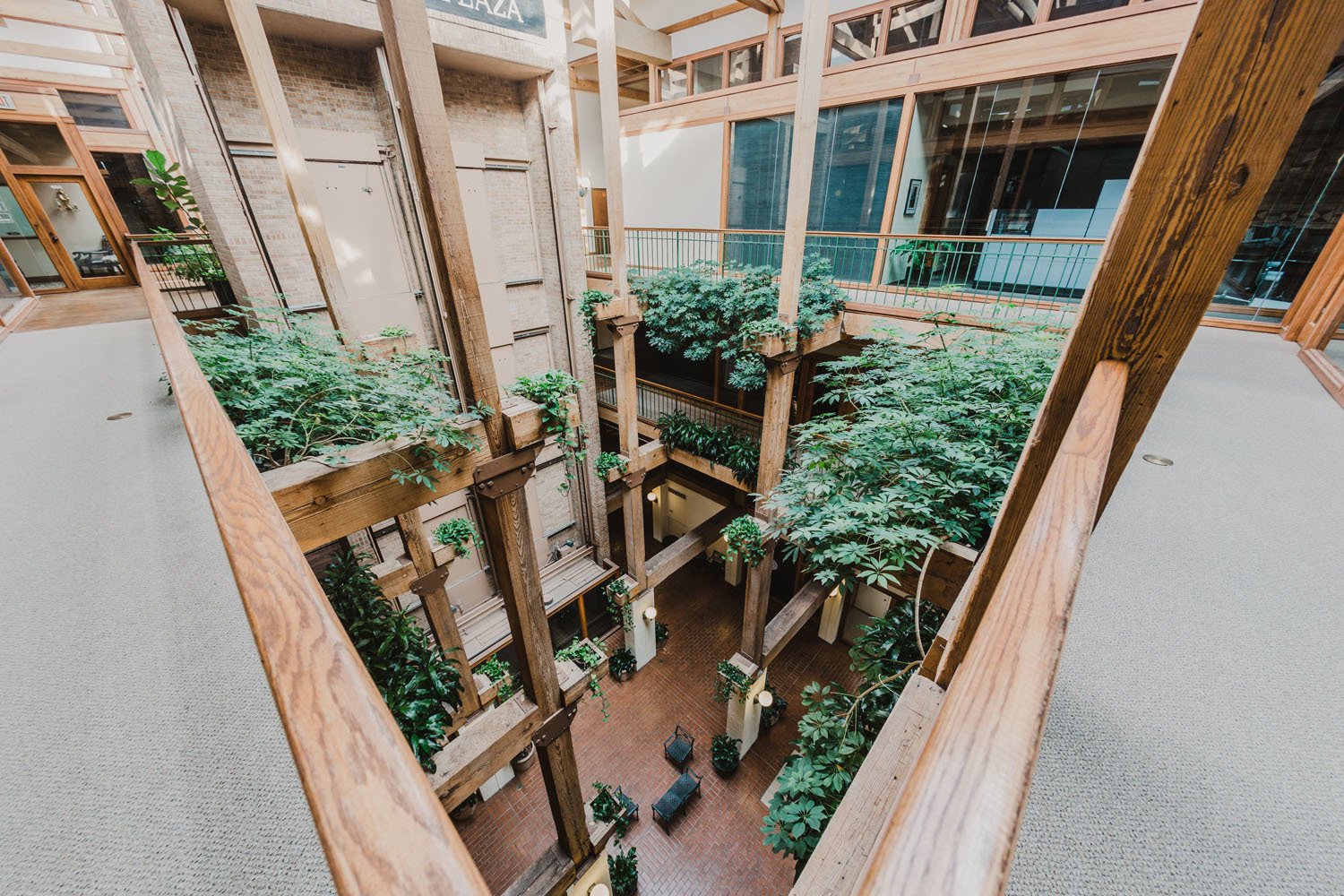 Washington Plaza Gallery - White Columns Apartments + Washington Plaza