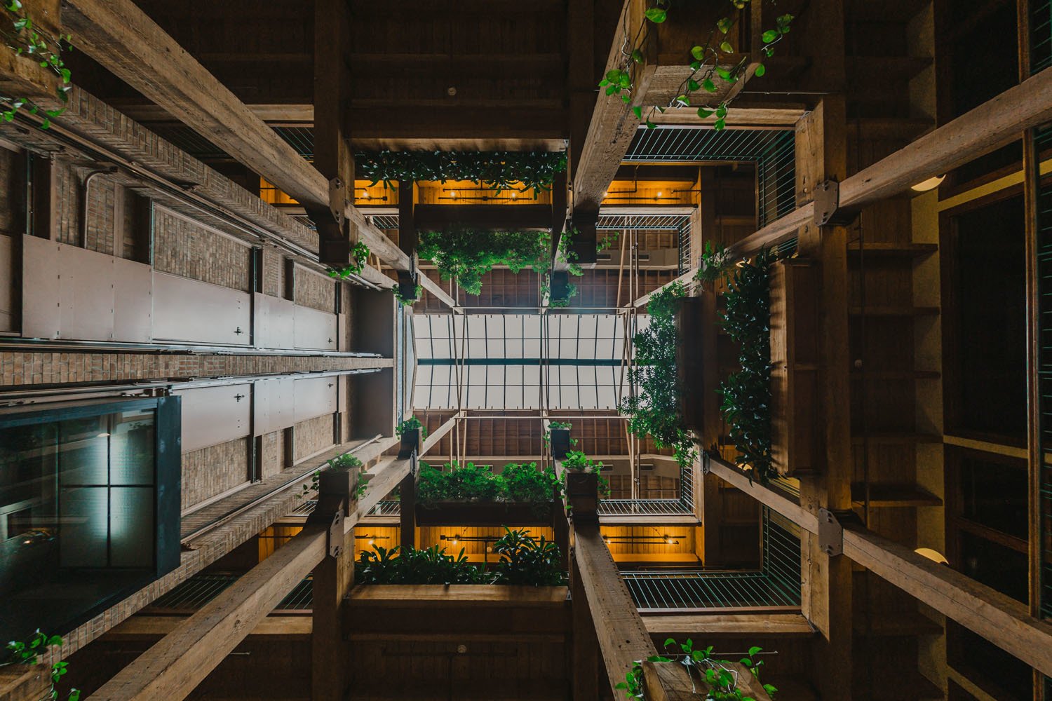 Washington Plaza Gallery - White Columns Apartments + Washington Plaza