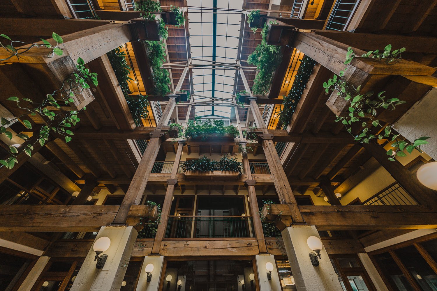 Washington Plaza Gallery - White Columns Apartments + Washington Plaza