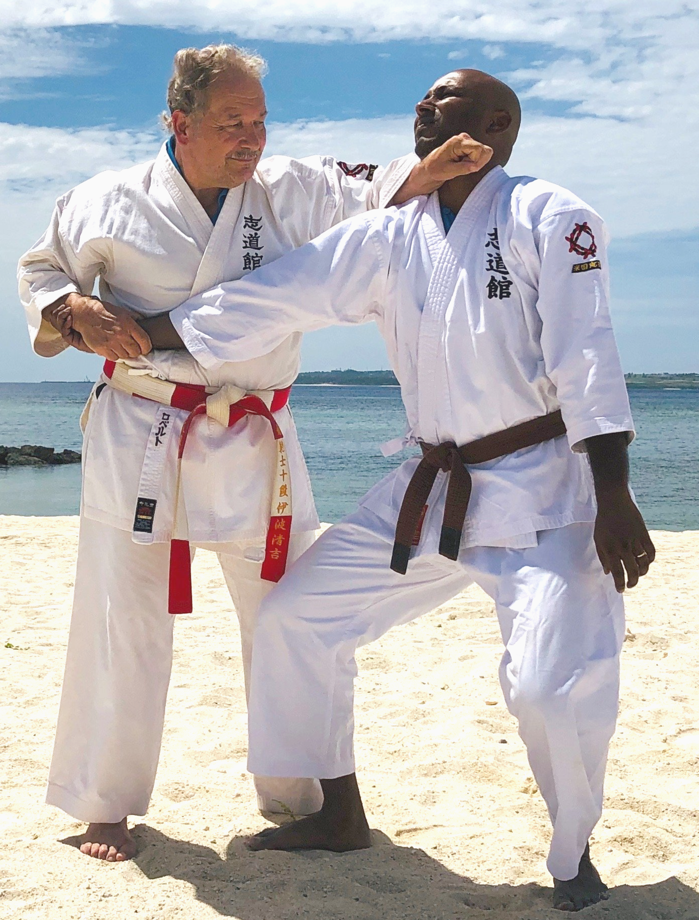 Alexandria Karate Dojo - Virginia Okinawan Karate