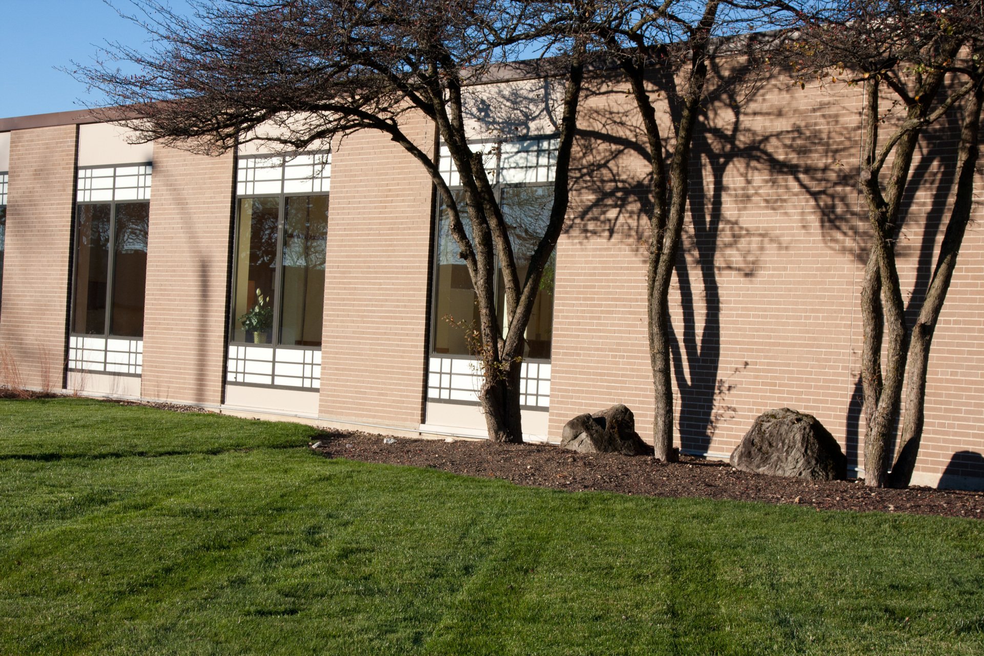 Commercial Window Replacement in Chicago, IL