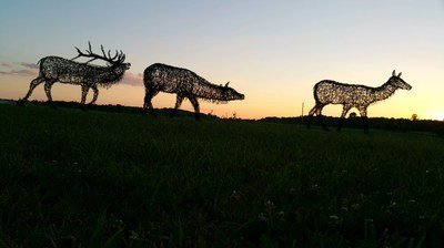 Devil's Rope Studio - Home