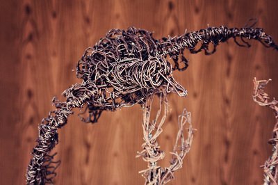 Devil's Rope Studio - Home