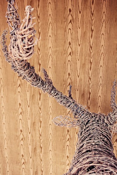 Devil's Rope Studio - Home