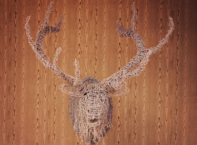 Devil's Rope Studio - Home