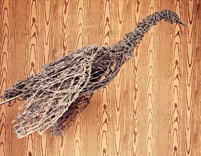 Devil's Rope Studio - Home