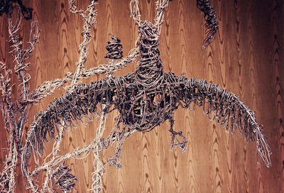 Devil's Rope Studio - Home