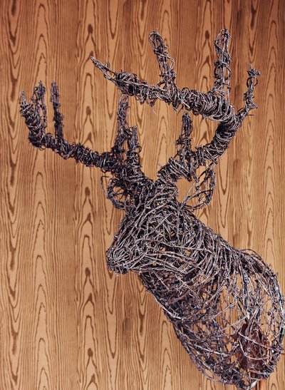 Devil's Rope Studio - Home