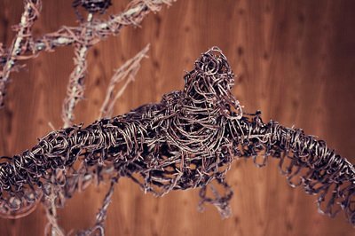 Devil's Rope Studio - Home