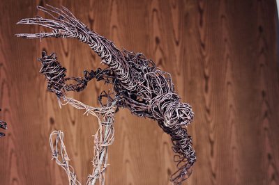 Devil's Rope Studio - Home