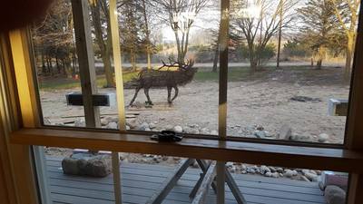 Devil's Rope Studio - Home