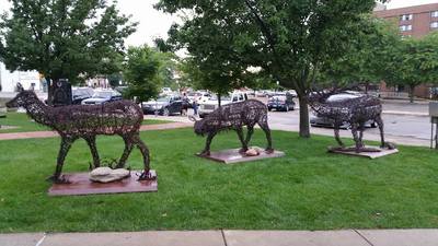 Devil's Rope Studio - Home